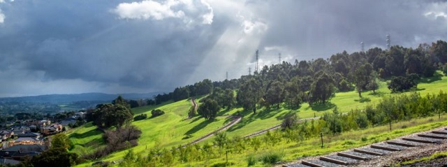 1001 Steps at Bayview Park (Narre Warren) - Fitness - Sport & Recreation