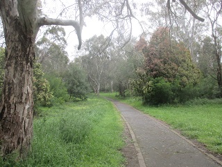 Banksia Park (Bulleen) Nature