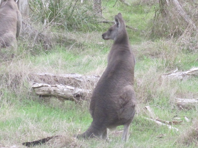 Bayles Fauna Park (Bayles) - Nature