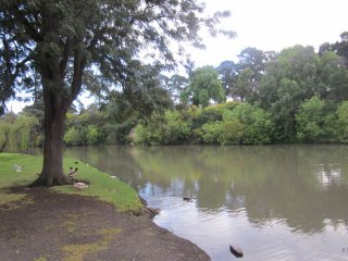 Coburg Lake Reserve (Coburg) - Nature