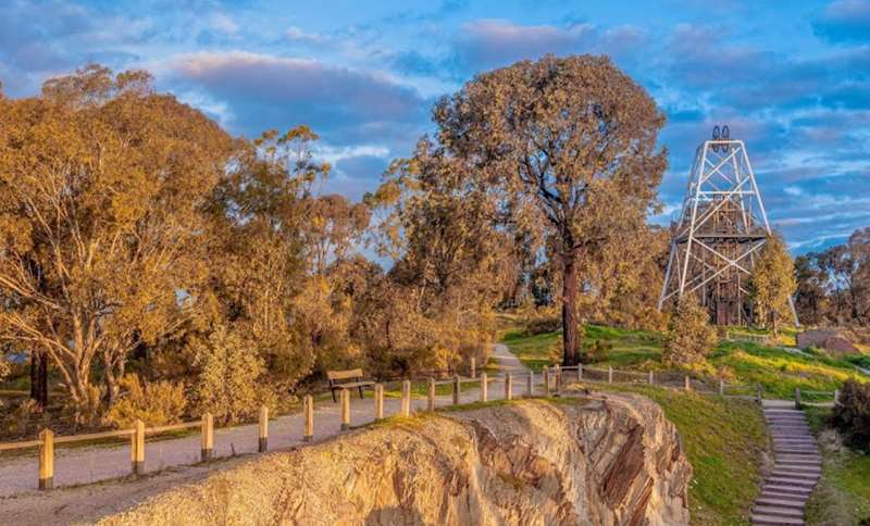 Ironbark - Victoria Hill Historic Mine Reserve Diggings - Northern ...