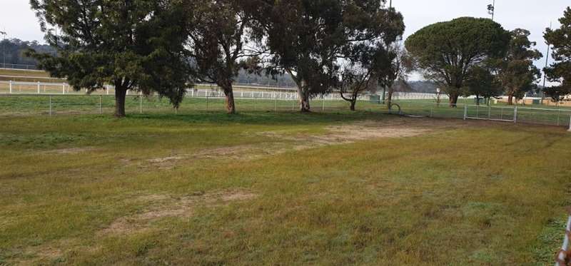 Kilmore Fenced Dog Park (East Street) - North Central - Outside Melbourne