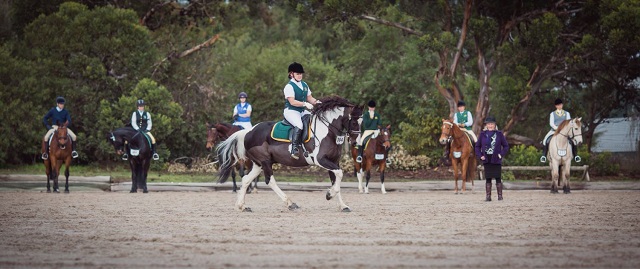 Merricks Saddle Club (Merricks) - Horse Riding - Sport & Recreation