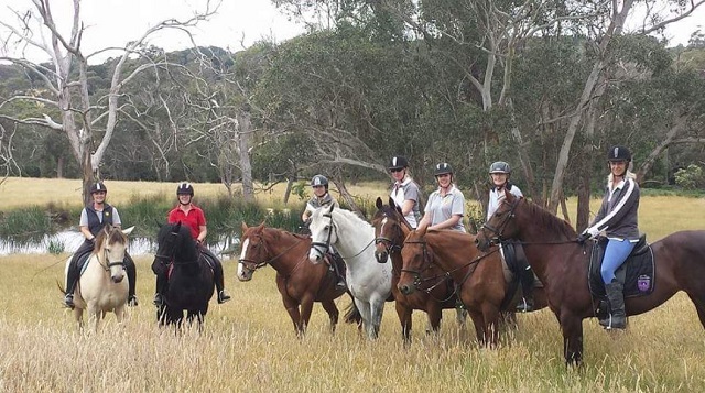 Moorooduc Saddle Club (Moorooduc) - Horse Riding - Sport & Recreation