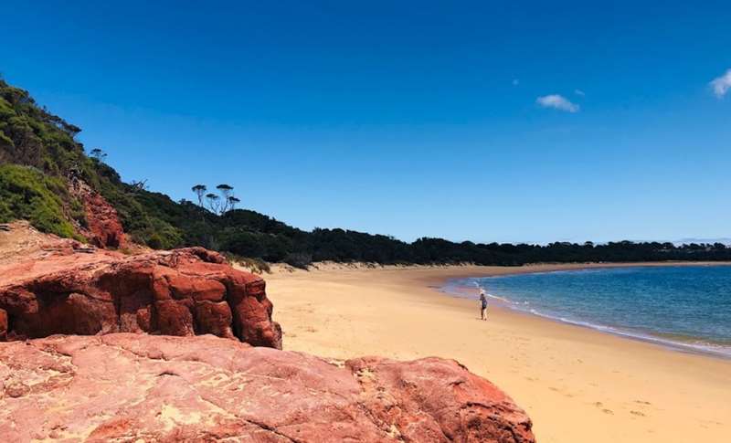 Red Rocks Beach Phillip Island Beaches Water Melbourne Playgrounds