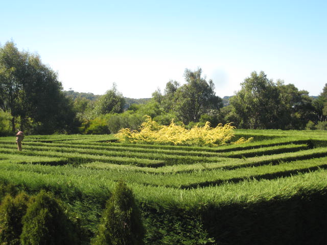 Enchanted Adventure (Arthurs Seat) - Play Centres