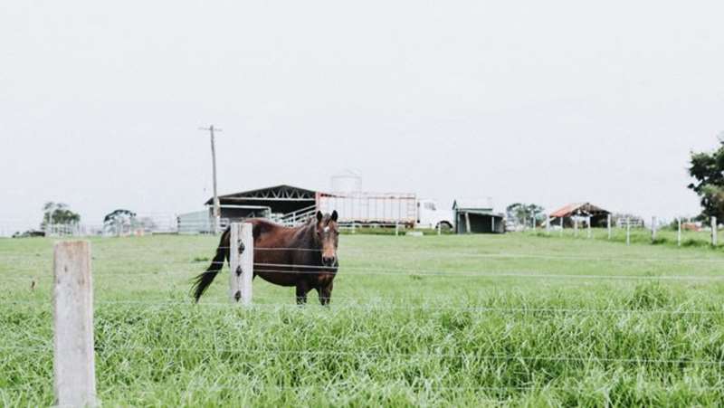 Top 10 Farm Stays for Your Next Holiday in Melbourne ...