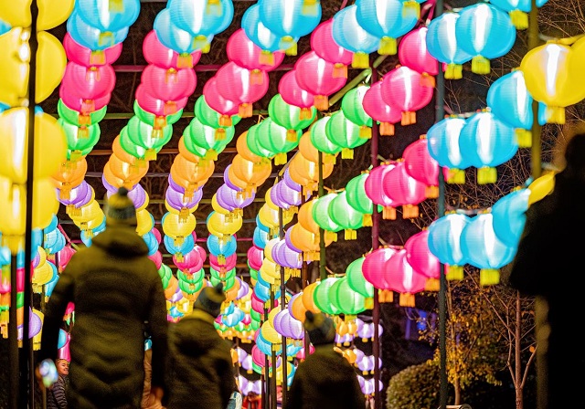 Winter Light Festivals in Melbourne and Regional Victoria - Blogs